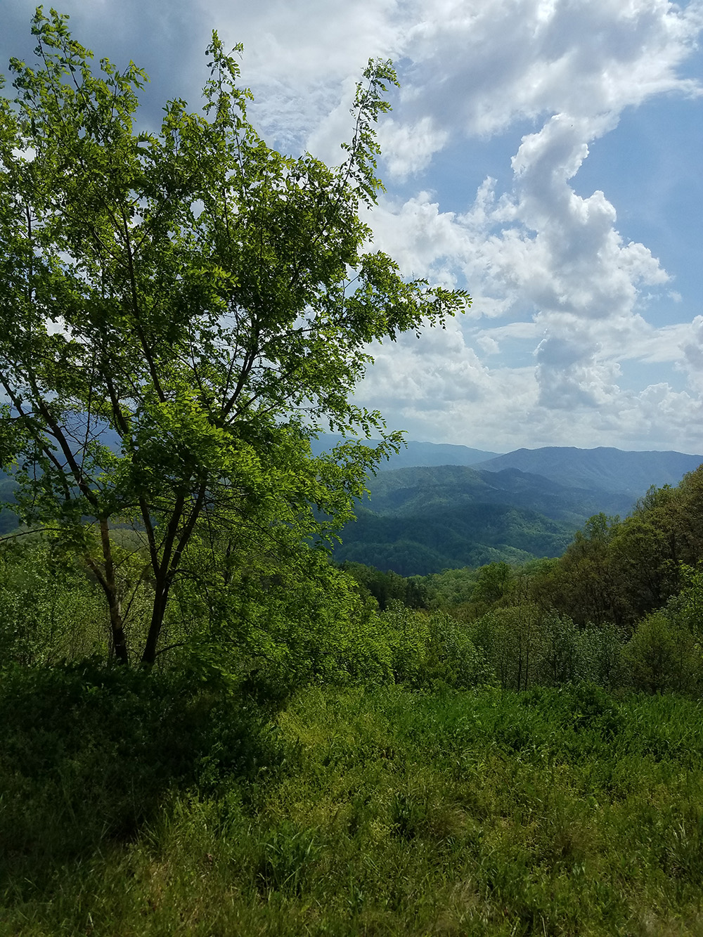 City of Townsend, TN