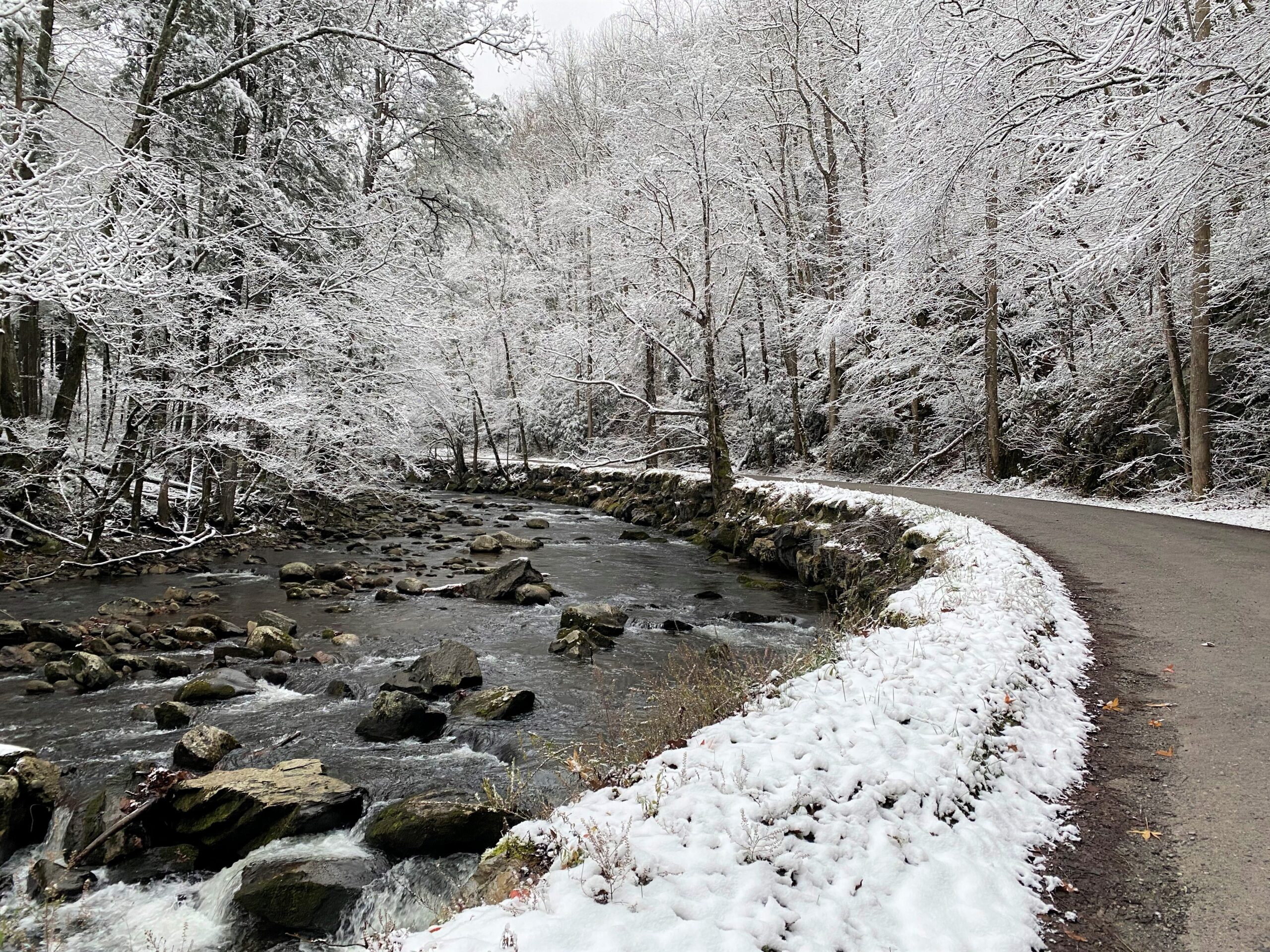 2019 Townsend Christmas Parade - City of Townsend, TN